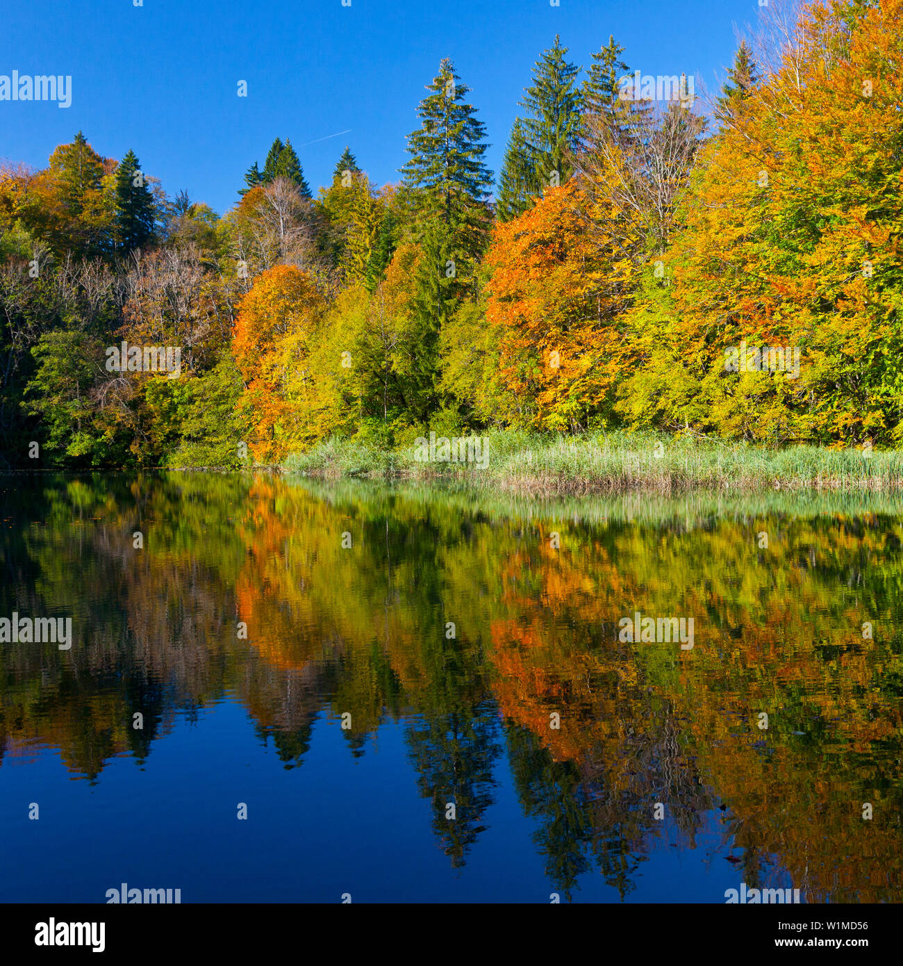 Plitvice lakes National Park, Lika region, Croacia, Europe Stock Photo ...