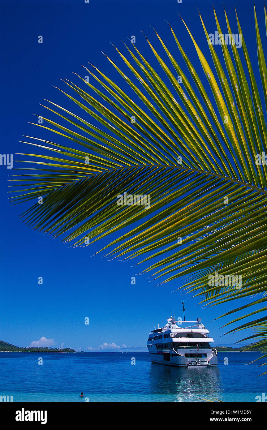 Mv mystique princess hi-res stock photography and images - Alamy