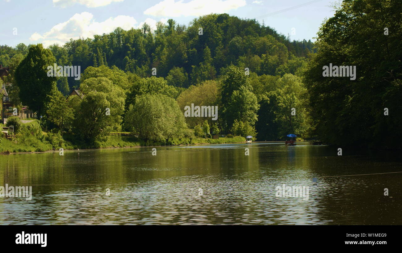 Forest in the mountains of Europe Stock Photo - Alamy