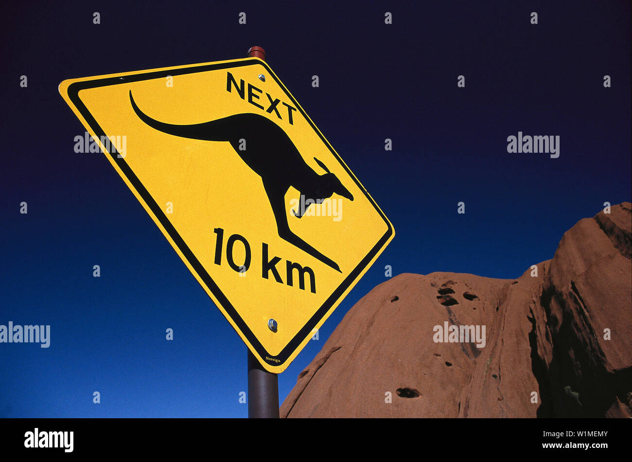 Ayers Rock Kangaroos