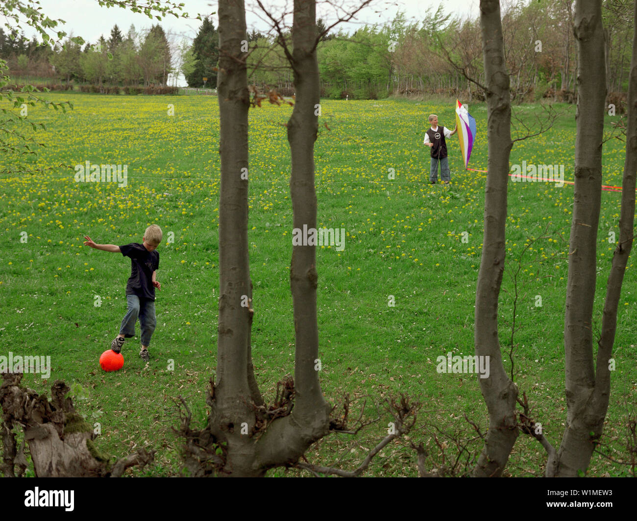 Boys playing on meadow, Eifel, Germany Stock Photo - Alamy
