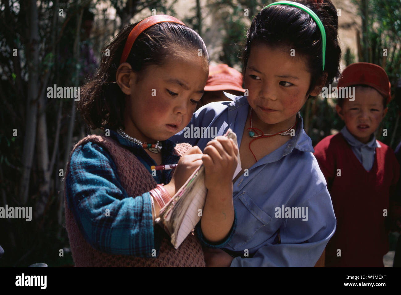 Traktok hi-res stock photography and images - Alamy