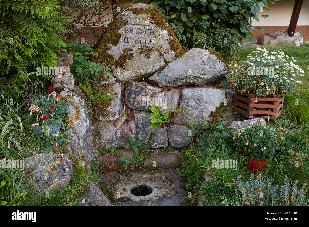 Danube River Black Forest High Resolution Stock Photography and Images ...