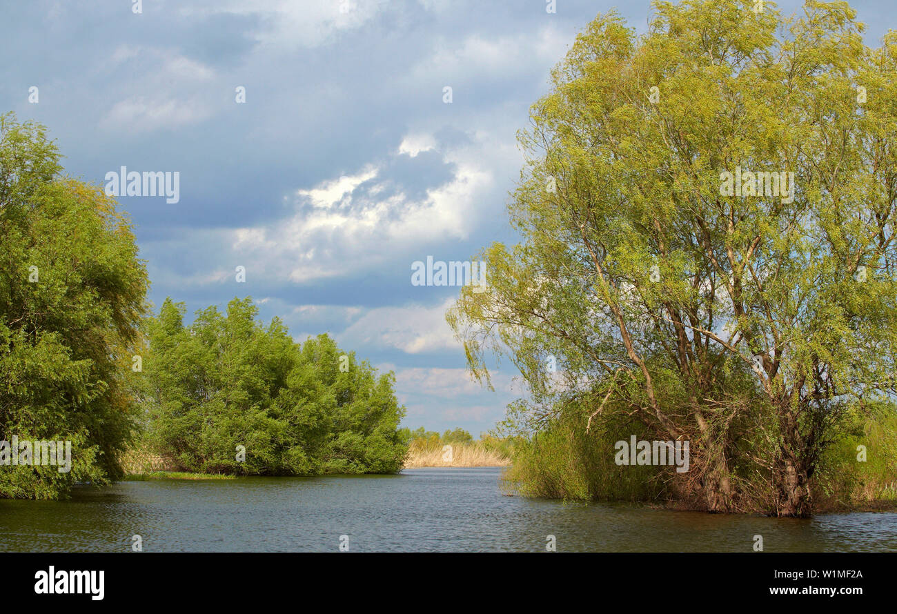 Danube biosphere reserve hi-res stock photography and images - Alamy