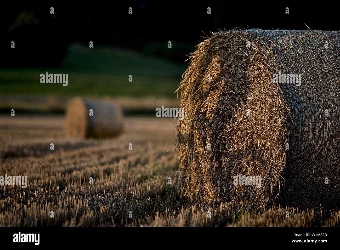 Round bale on a field Stock Photo - Alamy