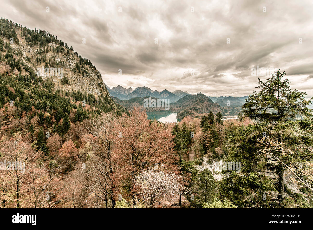 Lake Alpsee in Autumn, view from above Neuschwanstein Castle, Allgaeu ...