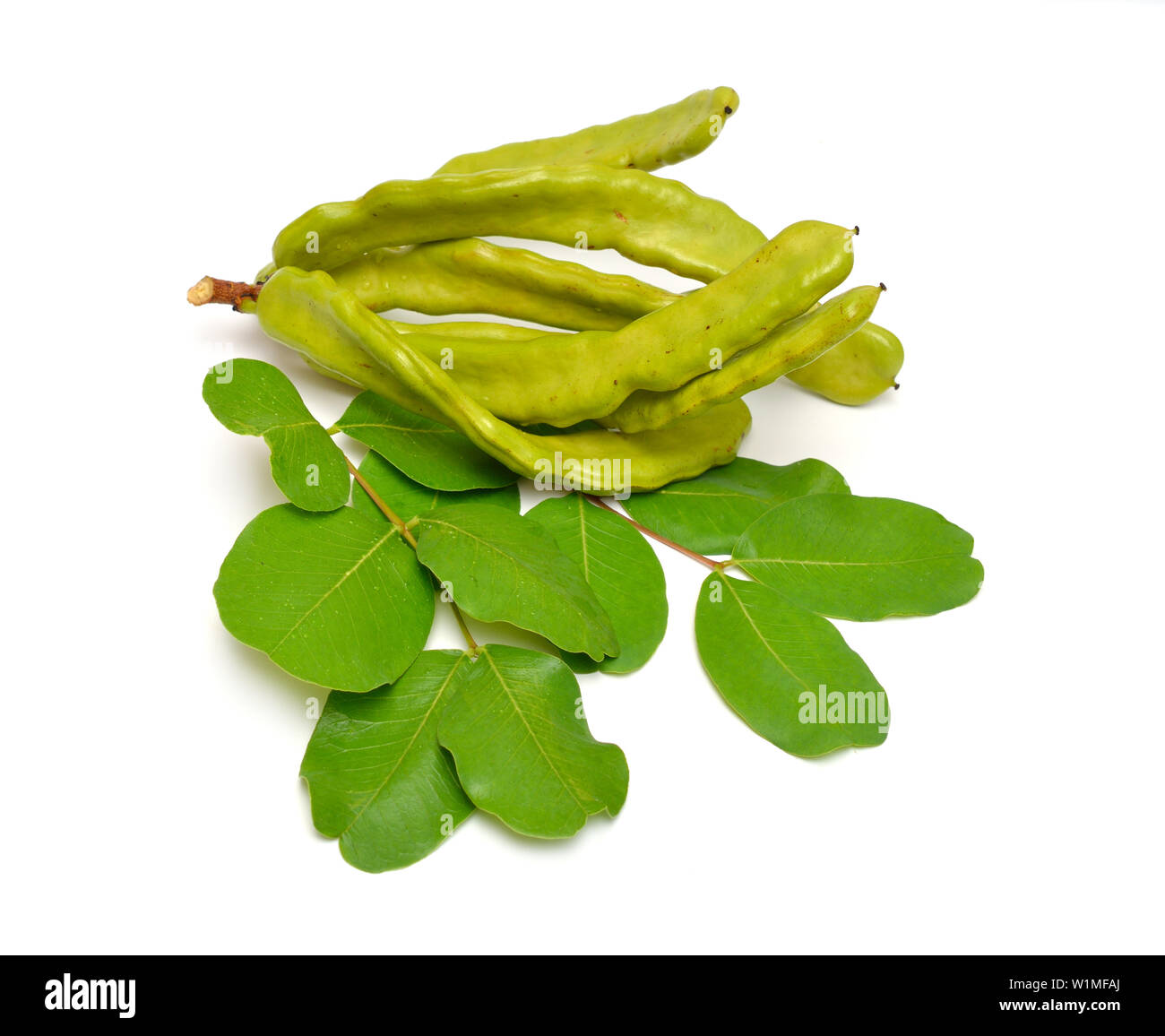 Green Carob pods with leaves. Isolated on white background Stock Photo ...