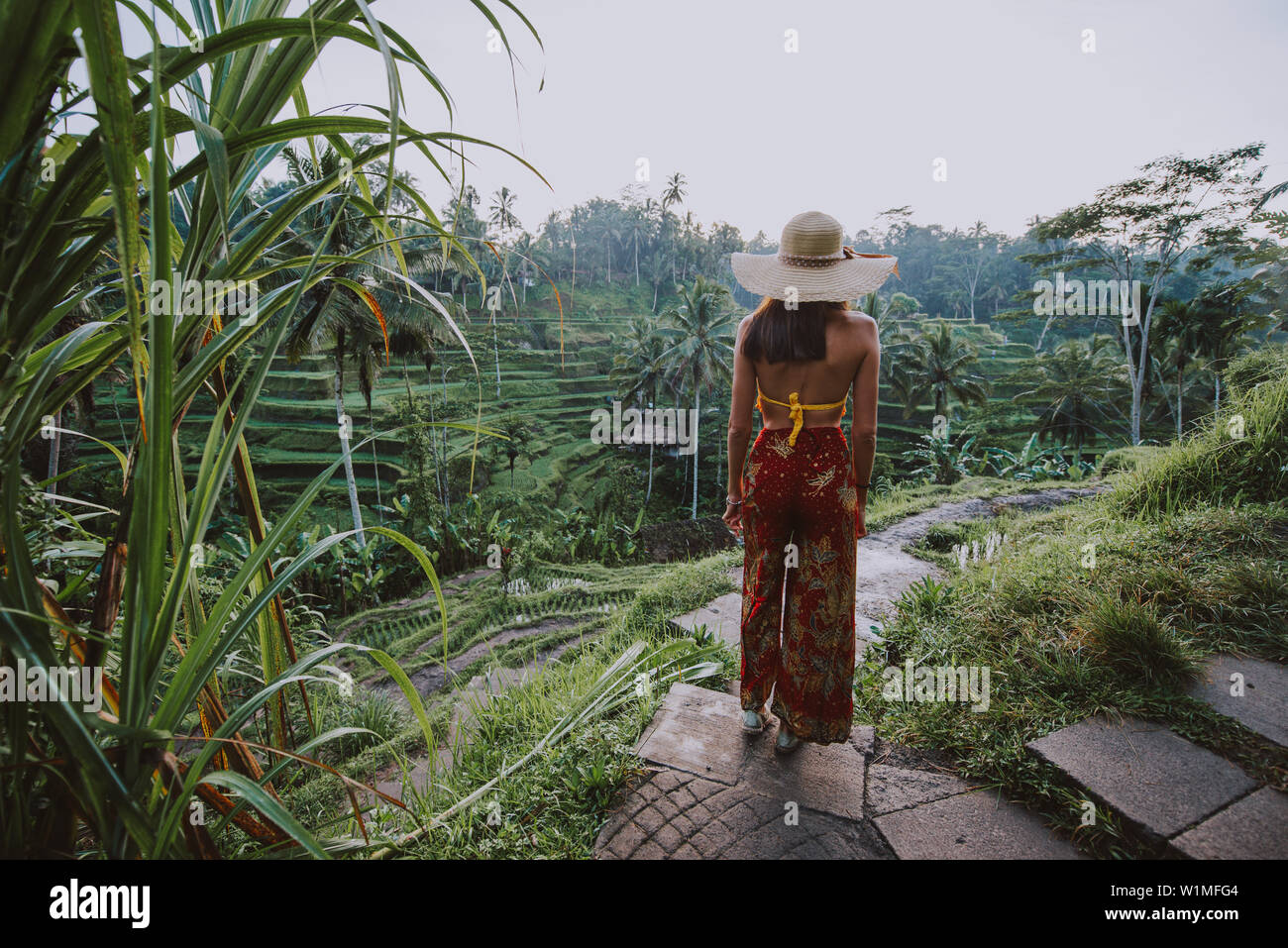 Beautiful girl visiting the Bali rice fields in tegalalang, ubud ...