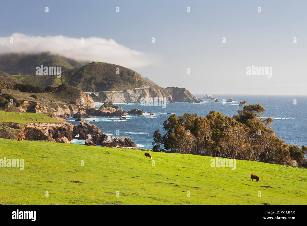 Rocky Point, Big Sur, Cabrillo Highway 1, California Stock Photo - Alamy