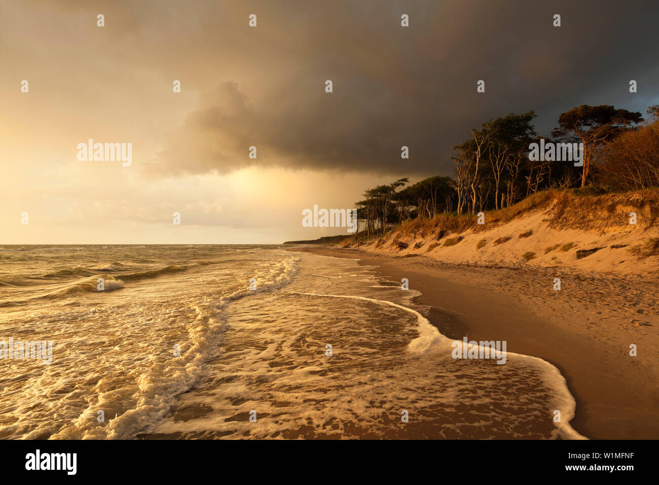 Thunderclouds at western beach, Darss, National Park Vorpommersche ...