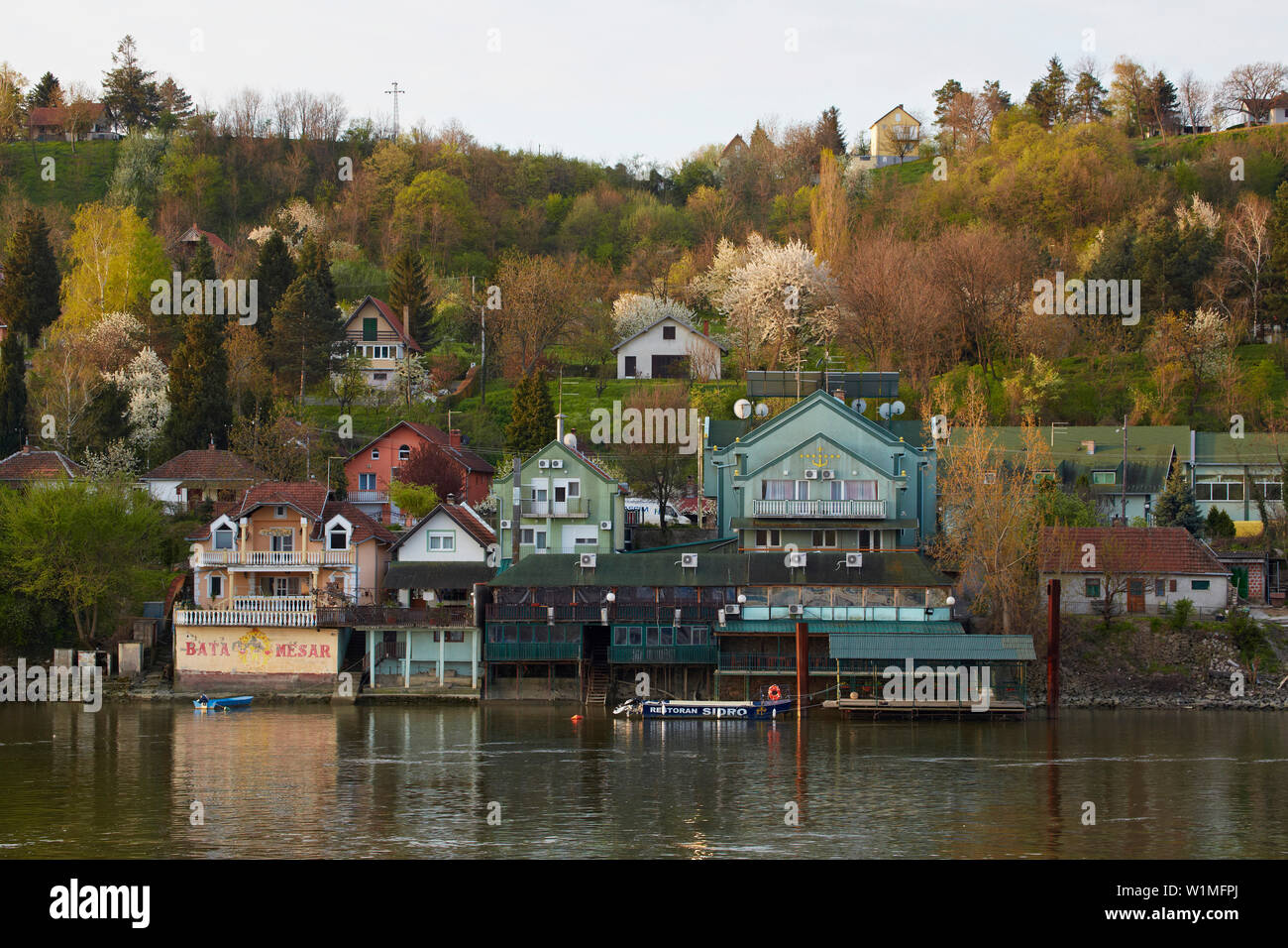 View at Beska , River Danube , Serbia , Europe Stock Photo - Alamy