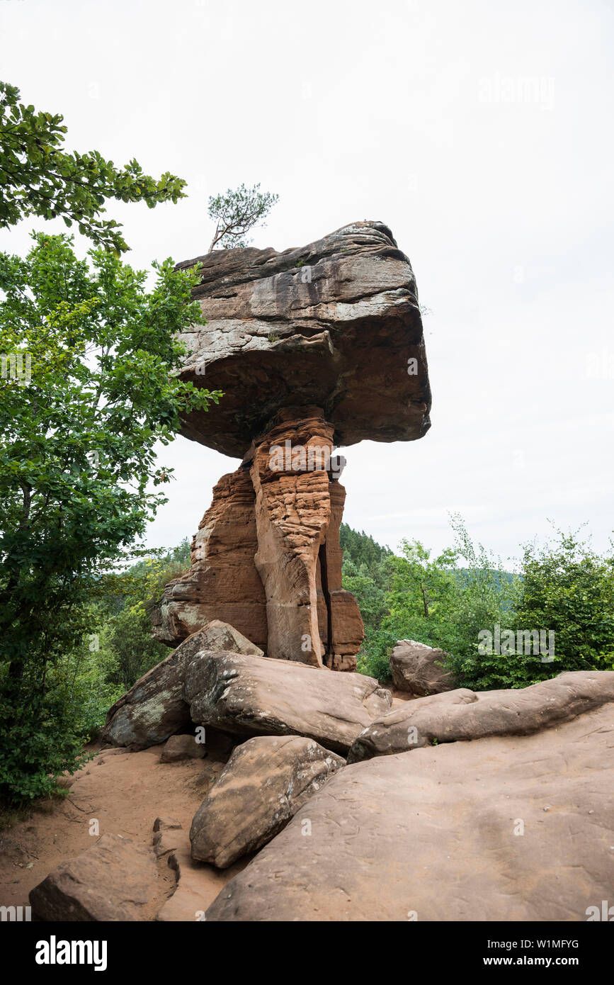 The Devil's Table, near Hinterweidenthal, Palatinate Forest, Rhineland ...