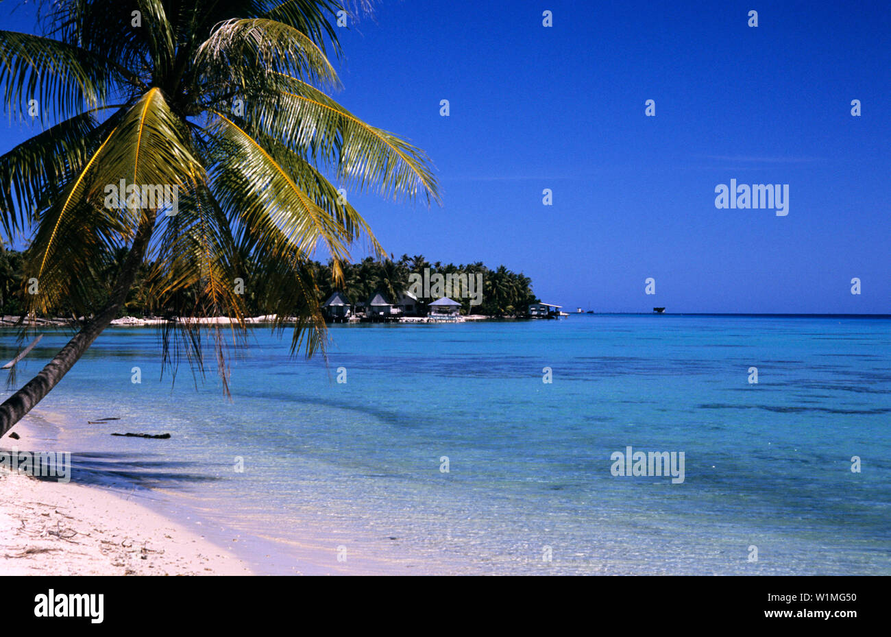 Rangiroa - Tuamotu Islands French Polynesia - South Pacific Stock Photo ...