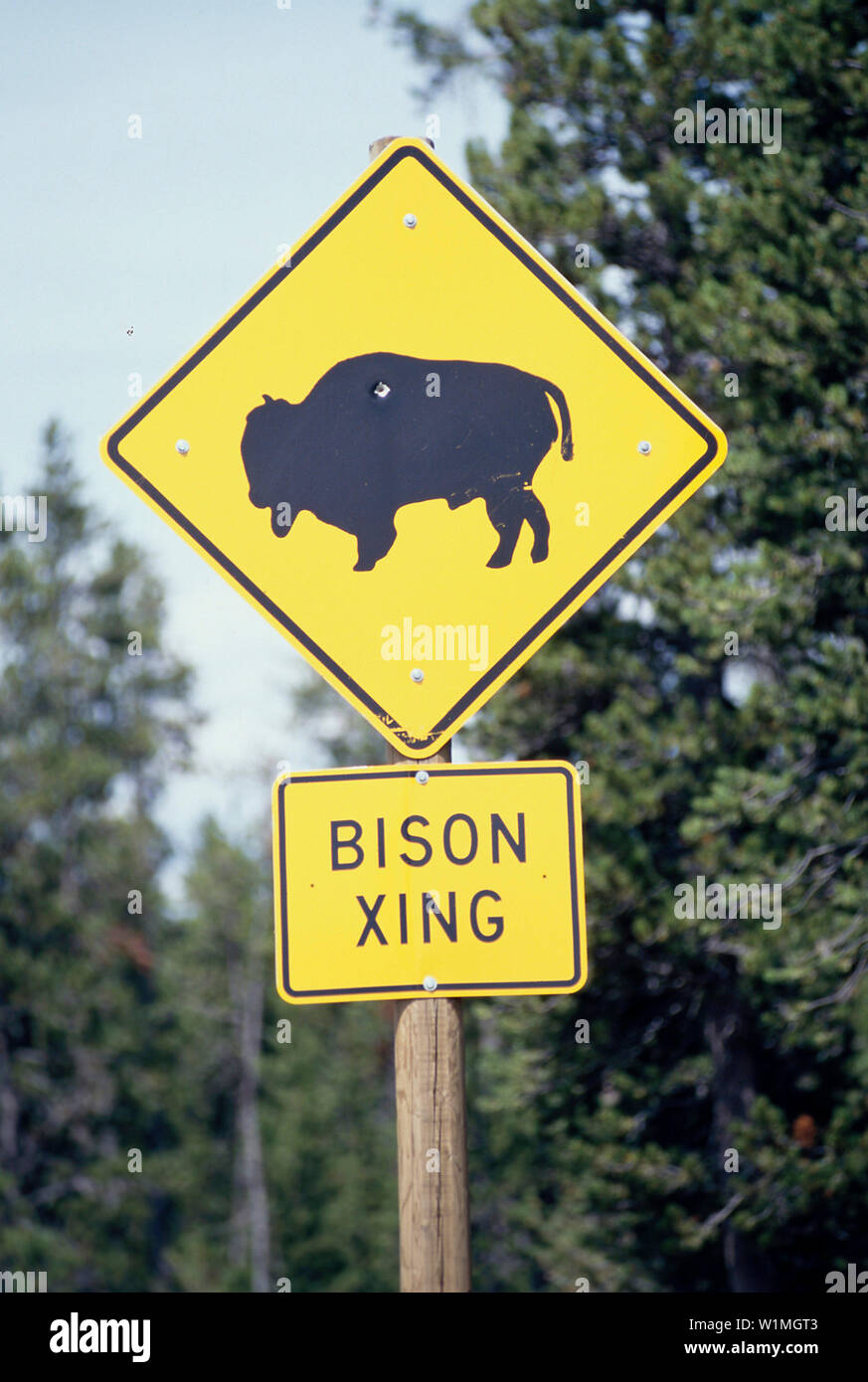 Bison Crossing Sign, Schild, bei West Yellowstone Montana, USA Stock ...