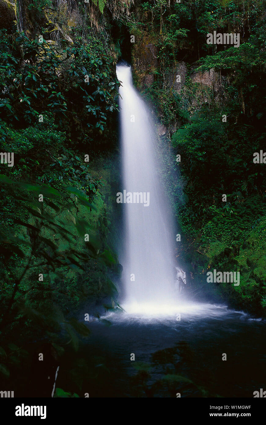 Waterfall, Rainforest, Tari Papua New Guinea Stock Photo - Alamy