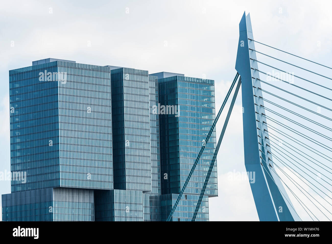 The Erasmus bridge with view at the high rise building ''De Rotterdam ...