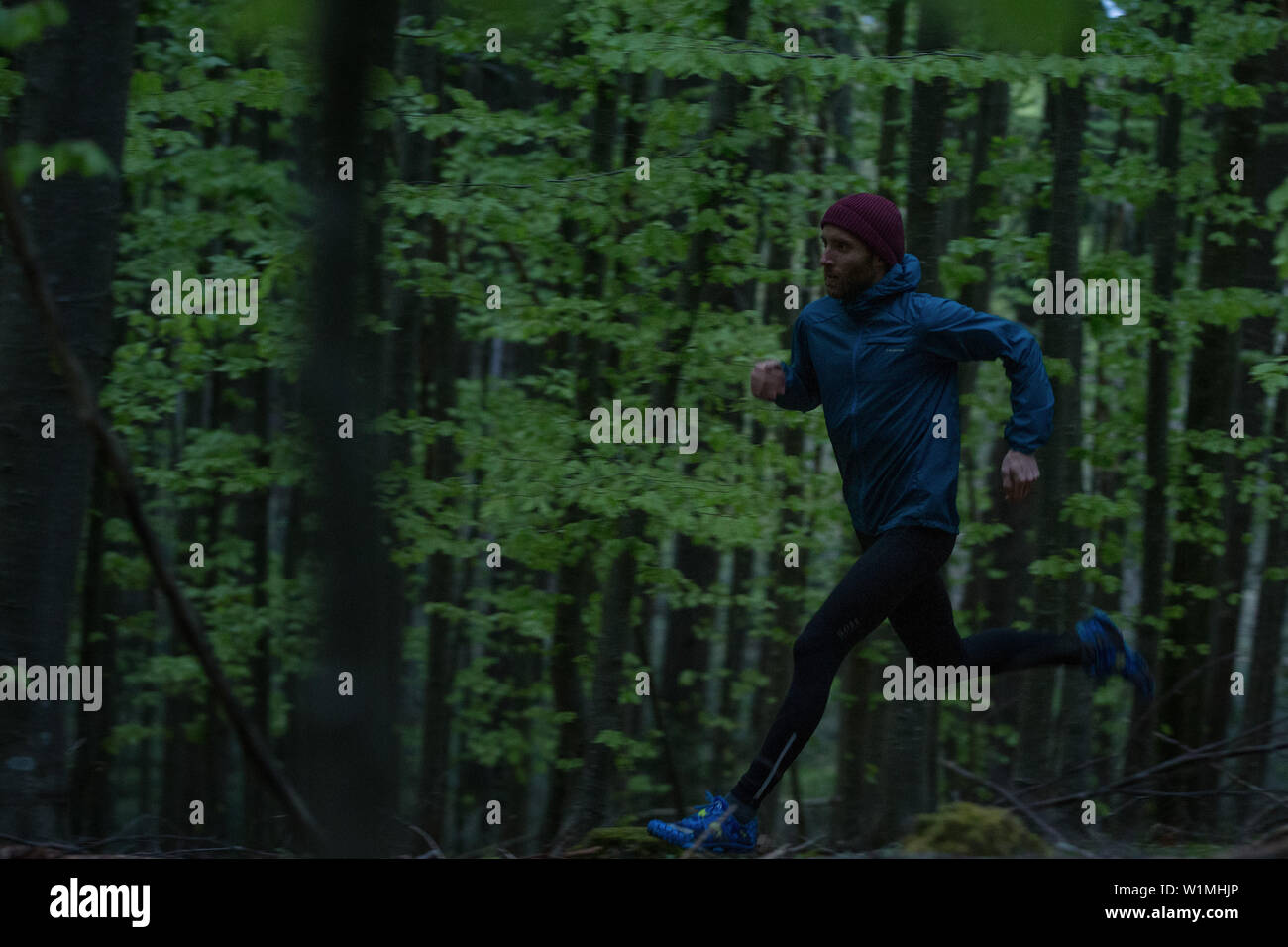 Young man running on a trail through a forest, Allgaeu, Bavaria ...