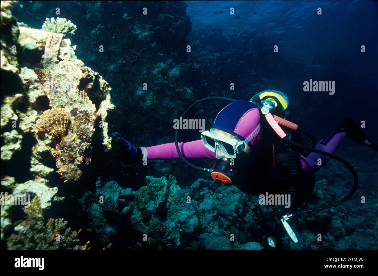 Rotes meer riff hi-res stock photography and images - Alamy