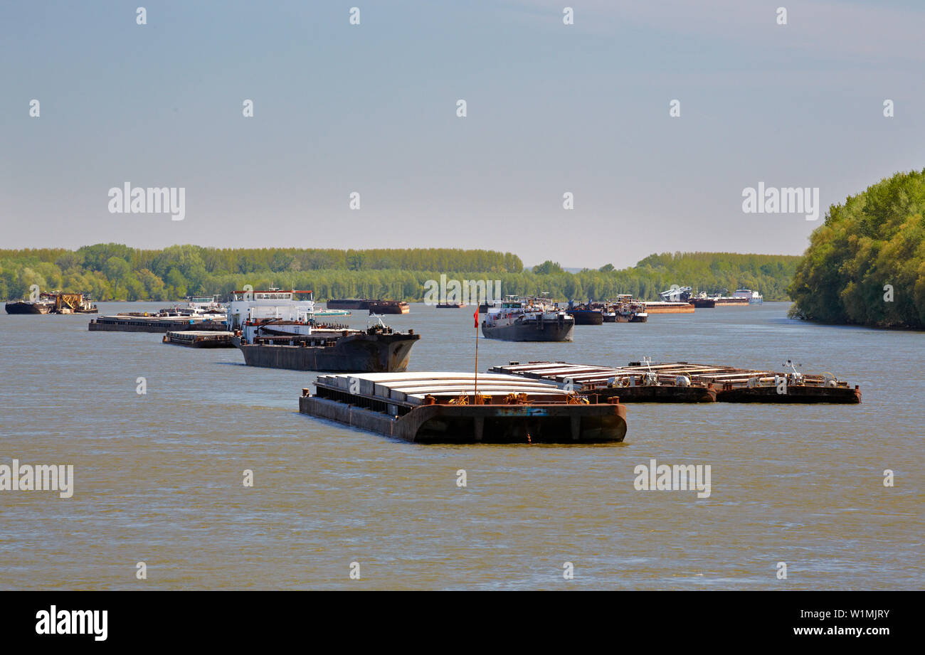 Danube river novi sad hi-res stock photography and images - Alamy