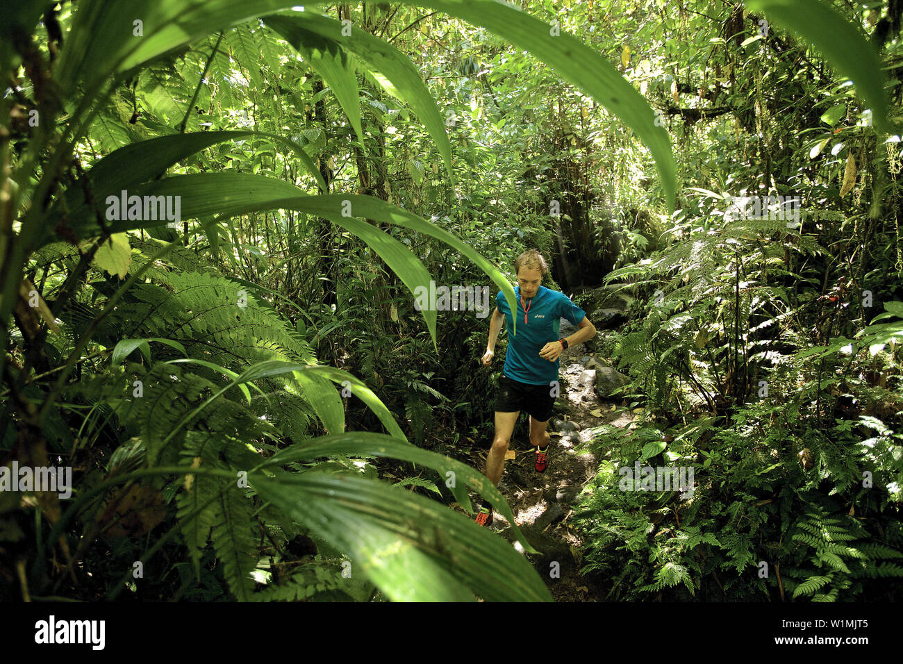 Young man running through a jungle, Dominica, Lesser Antilles ...