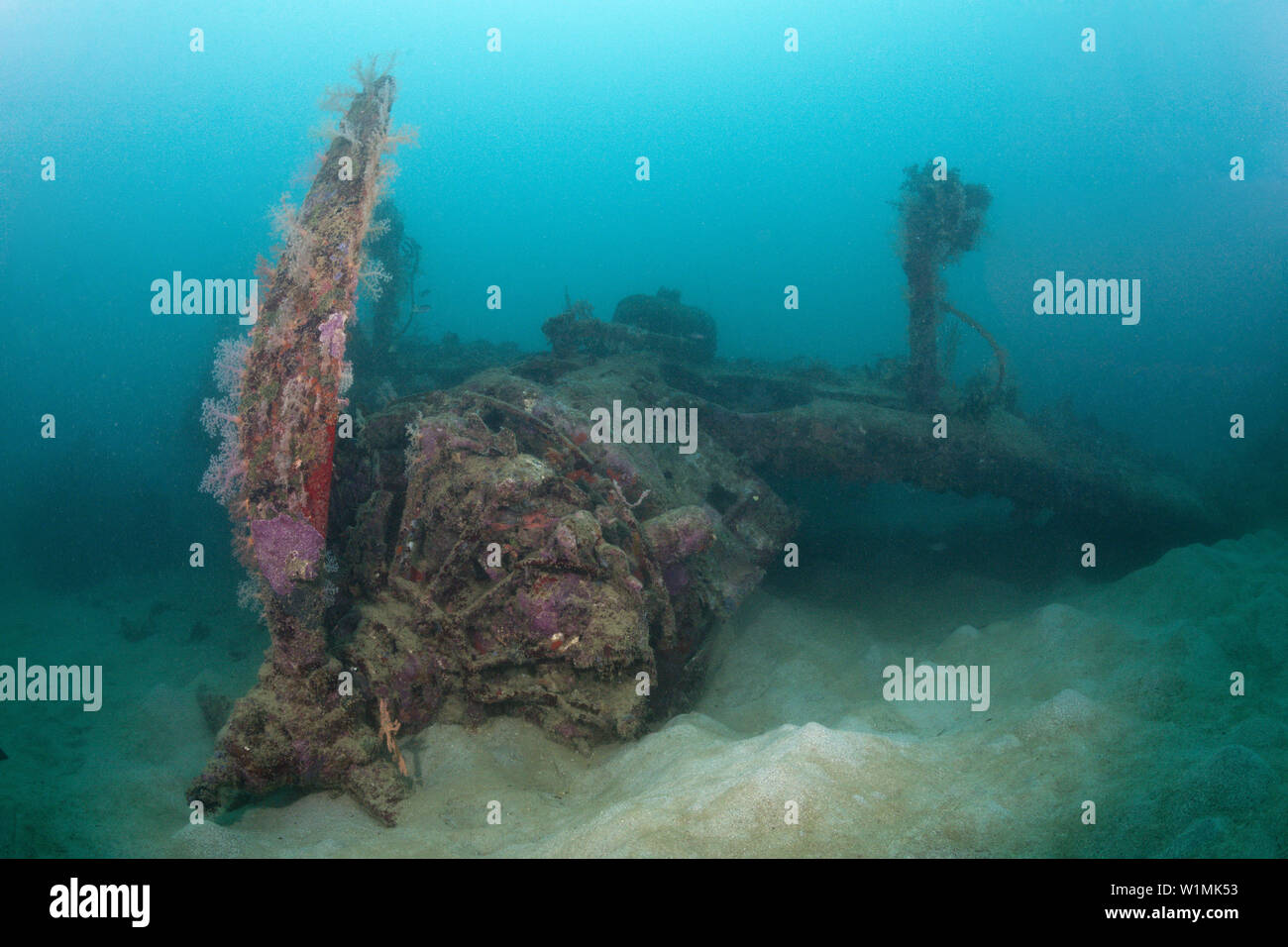Radial Engine of Dauntless Dive Bomber Wreck, Marovo Lagoon, Solomon ...