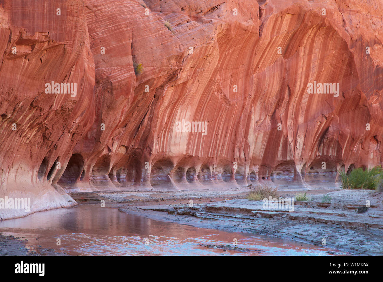 Paria River , Paria Canyon - Vermillion Cliffs Wilderness , White House ...
