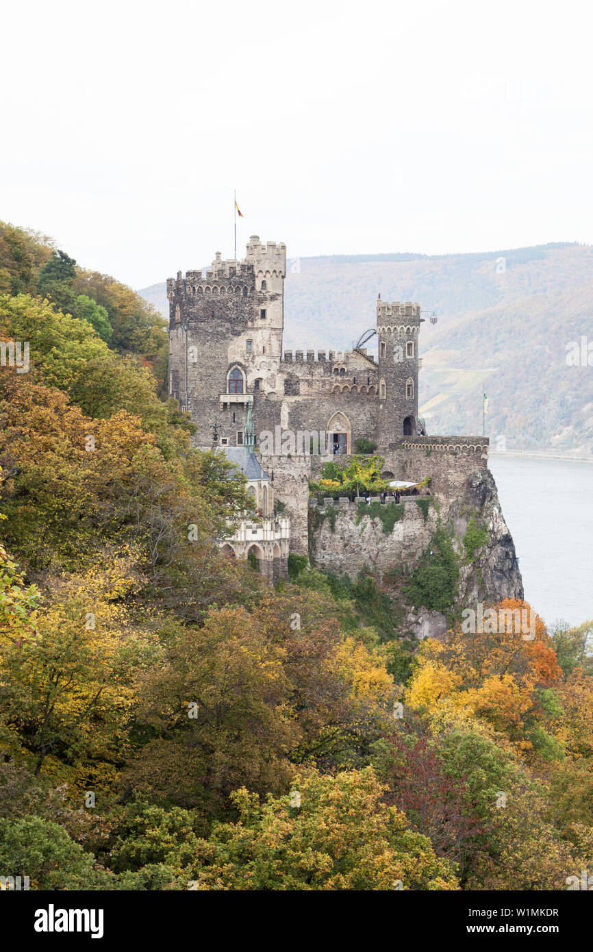 Burg Rheinstein castle above the Rhine near Trechtingshausen, Upper ...