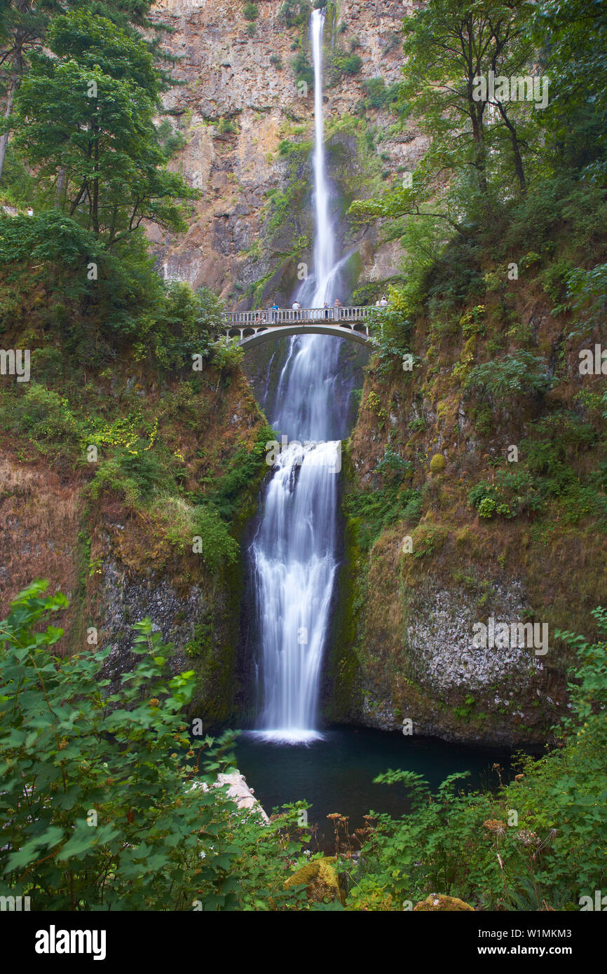 View at the and , Columbia River Gorge , Oregon , U.S.A. , America ...