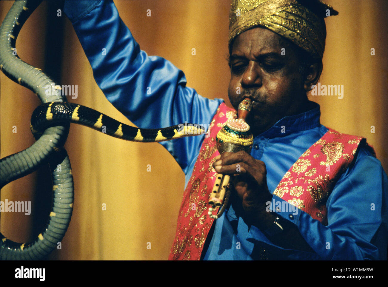 Serpent instrument hi-res stock photography and images - Alamy