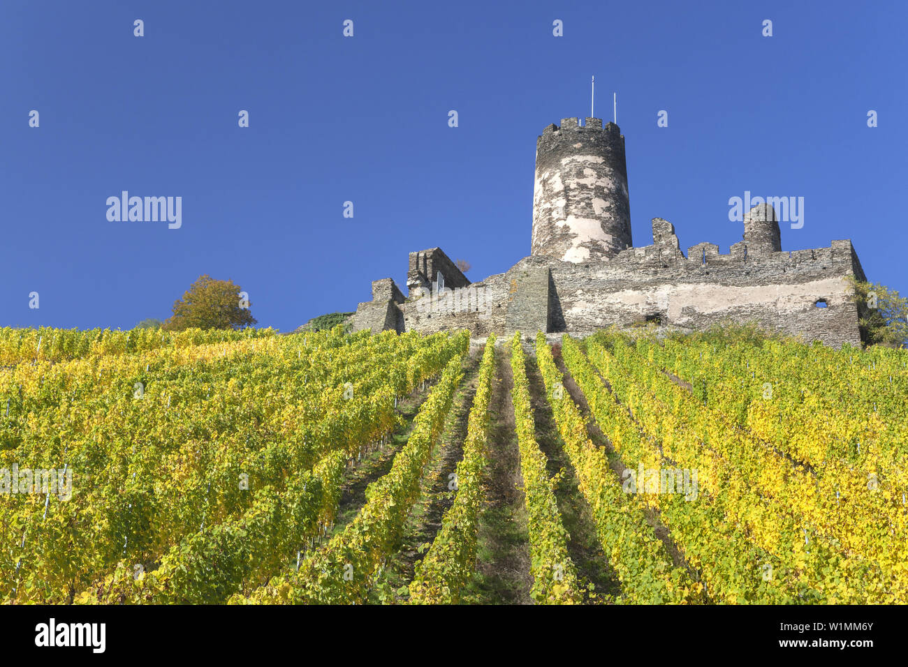 Furstenberg castle hi-res stock photography and images - Alamy