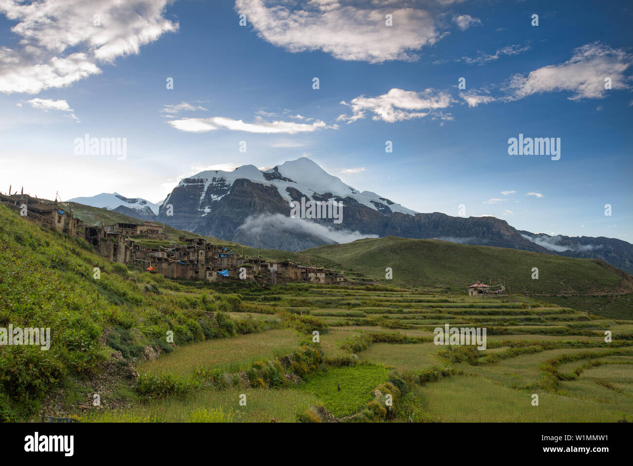 Kang guru hi-res stock photography and images - Alamy