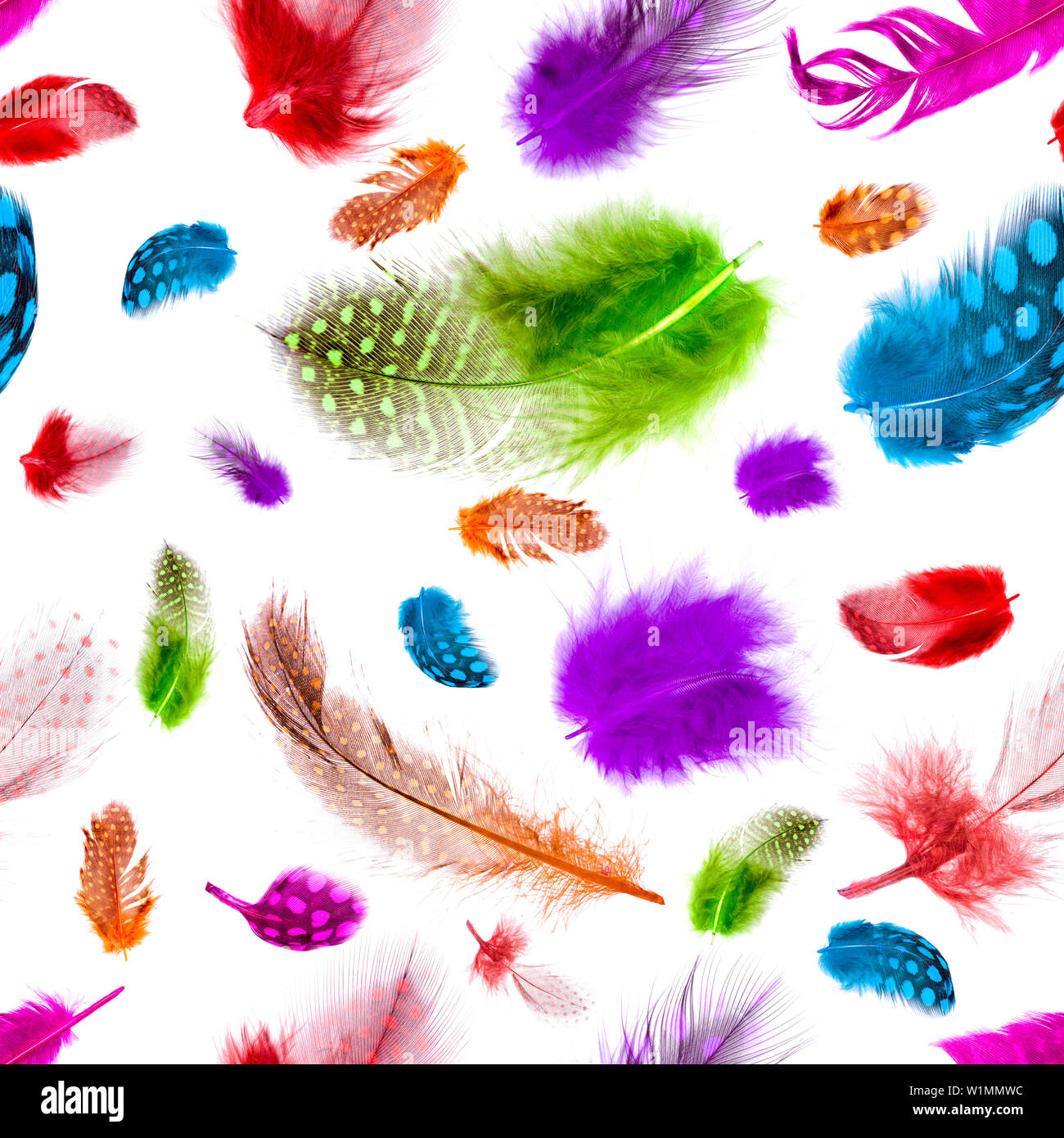 multicolored feathers seamless pattern. isolated on white background ...