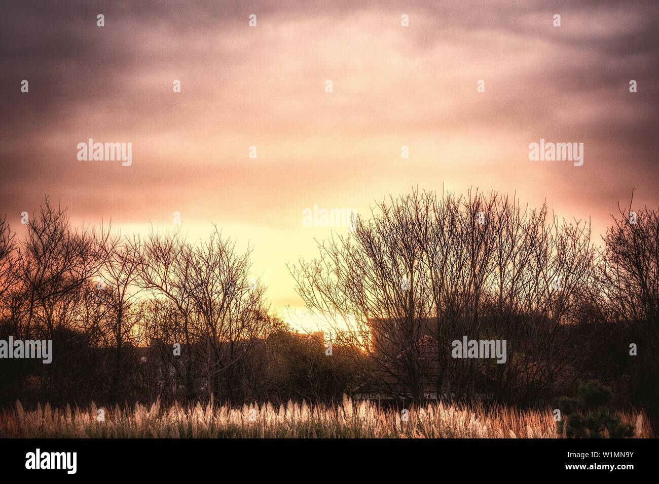 fall winter landscape nature sky Stock Photo - Alamy