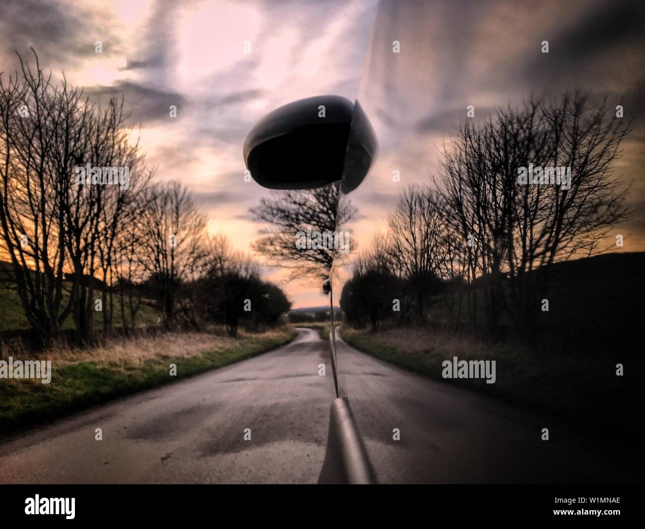 road guidance light tree sunset Stock Photo - Alamy