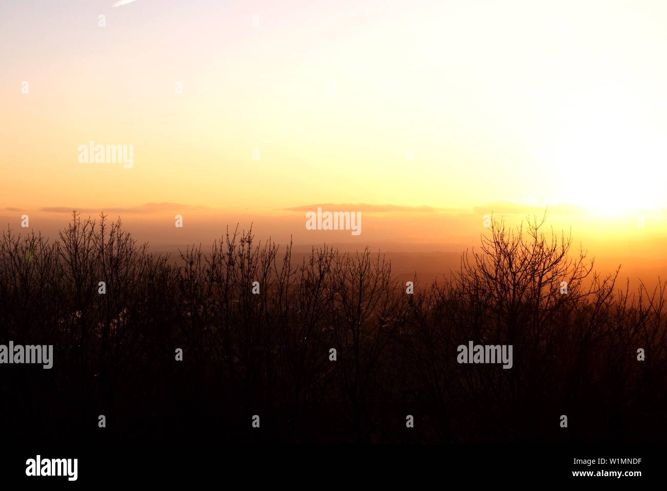 nature sun evening light sunset Stock Photo - Alamy