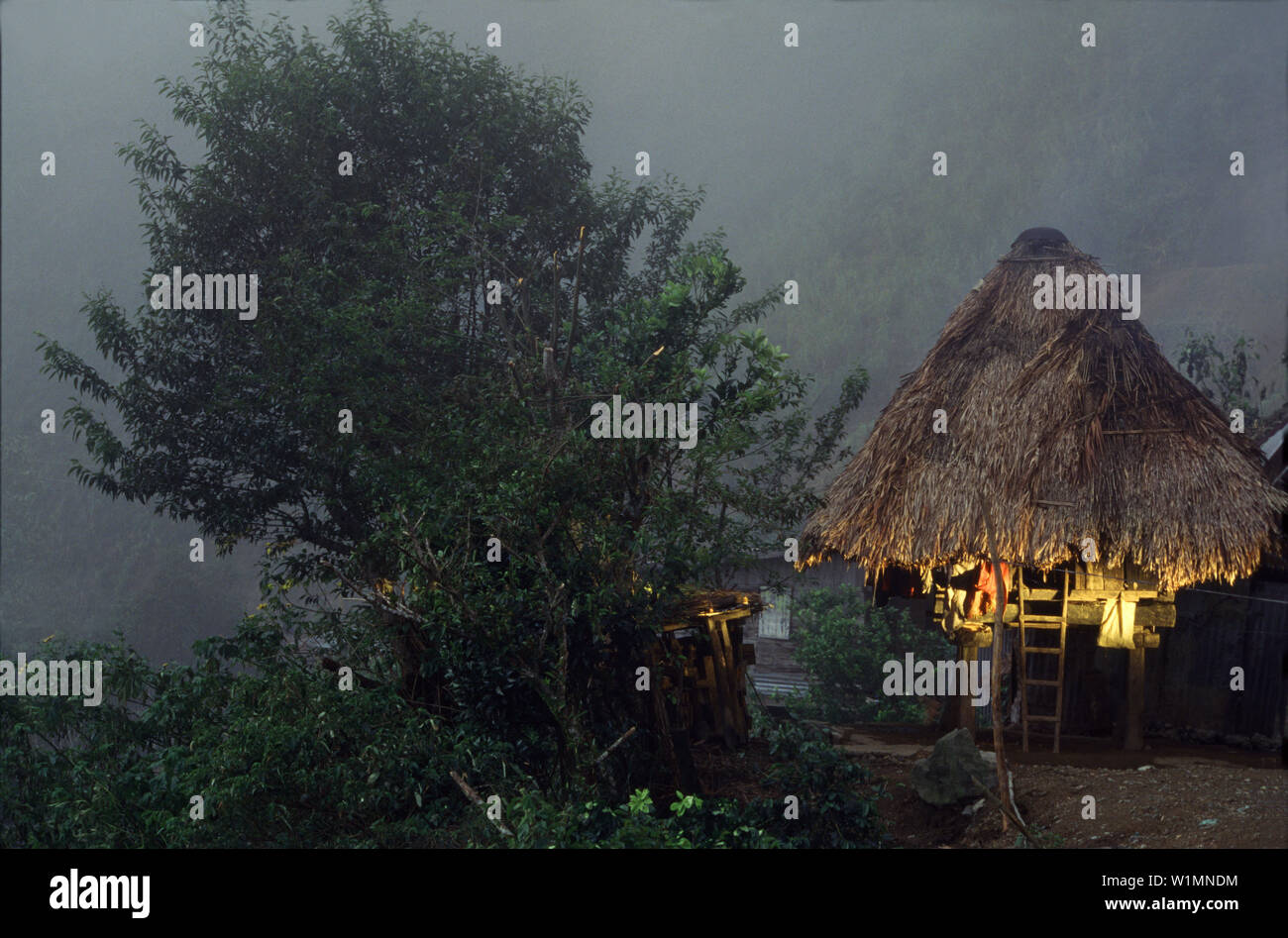 Ifugao hut, morning mist, Banaue, Luzon Island Philippines Stock Photo - Alamy