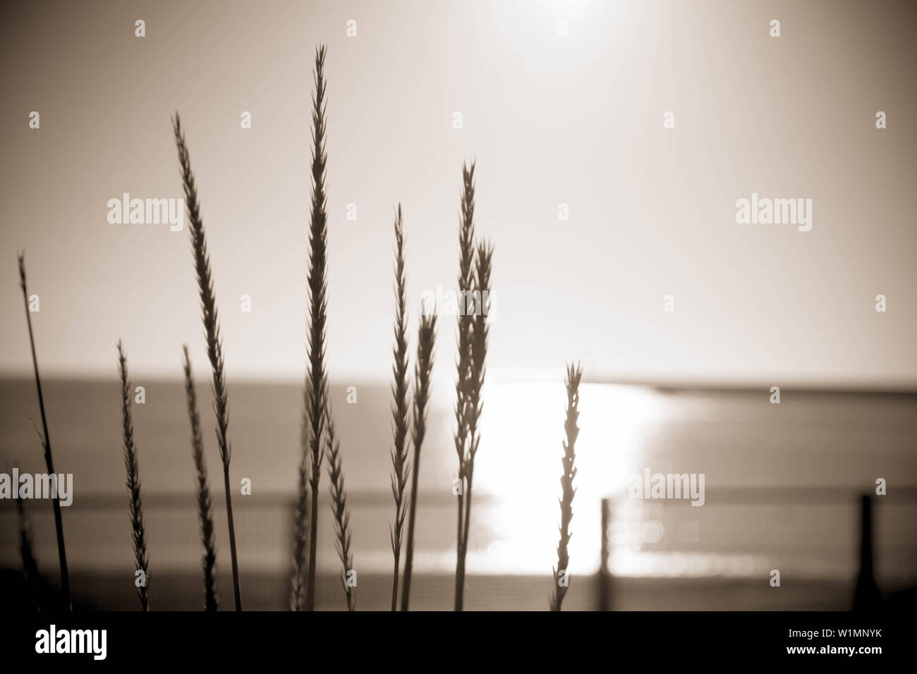 Sunset monochrome hi-res stock photography and images - Alamy