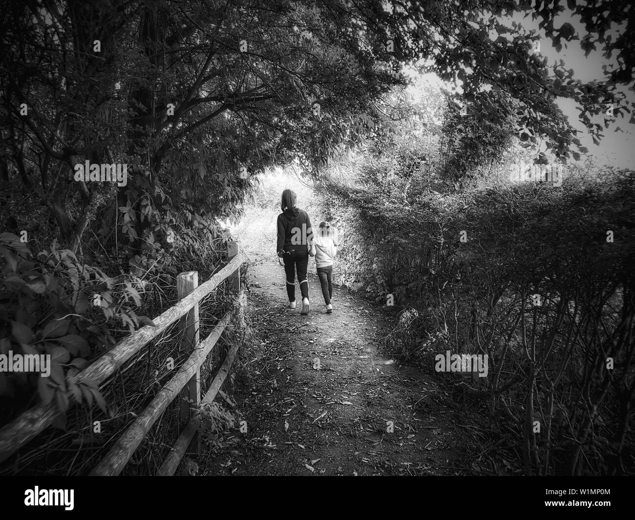 wood landscape adult tree people Stock Photo - Alamy