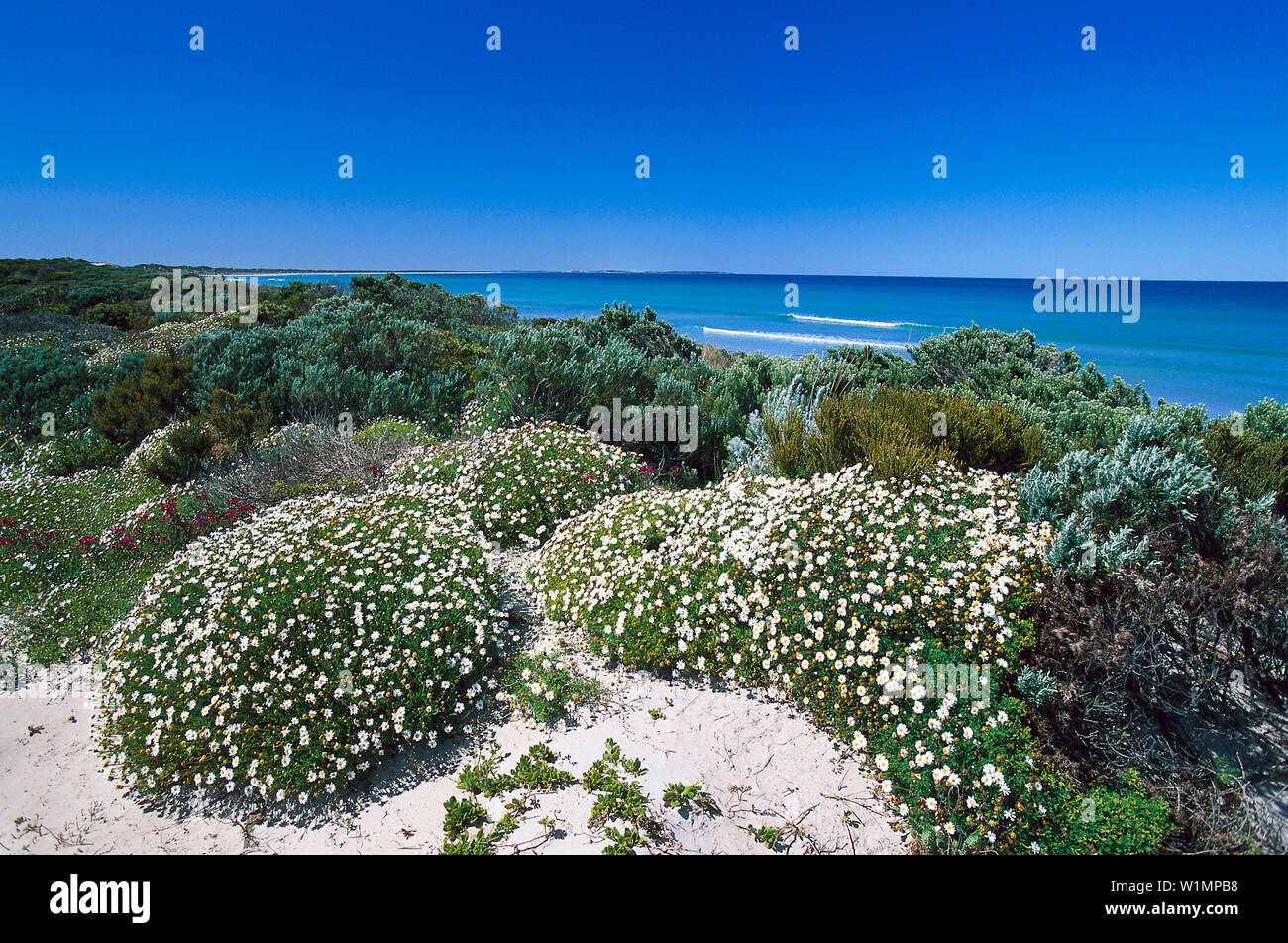 Rivoli bay hi-res stock photography and images - Alamy