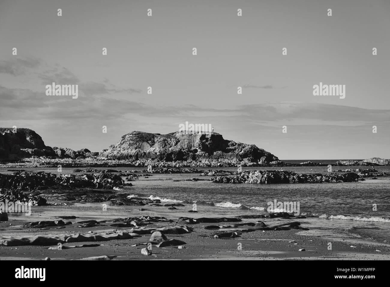 Camel island hi-res stock photography and images - Alamy