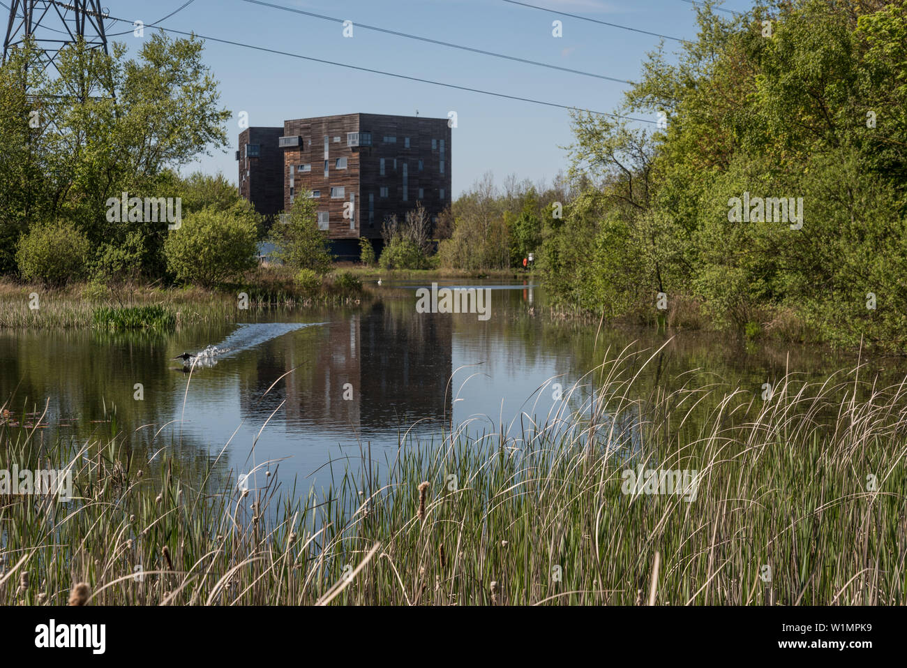 Boldon hi-res stock photography and images - Alamy