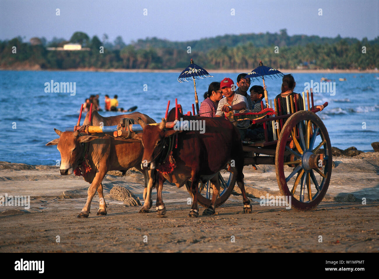 Ox trolley at the beach, Chaungtha, Ayeyarwaddy Division Myanmar Burma ...