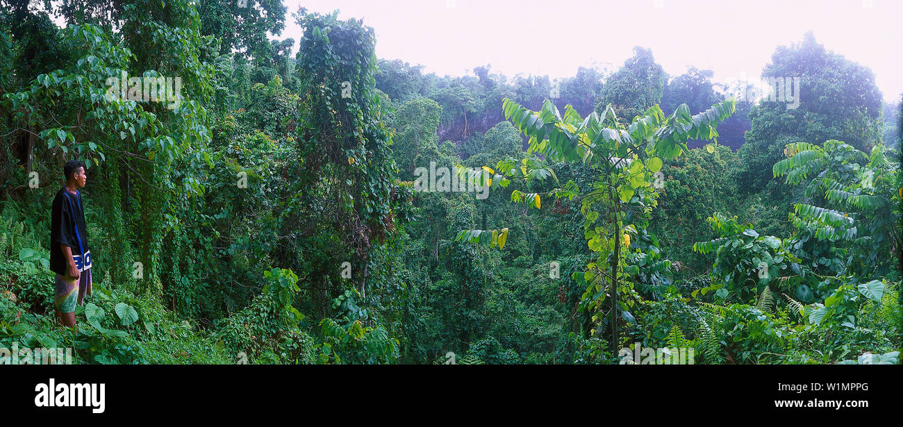 Samoa savaii rainforest hi-res stock photography and images - Alamy
