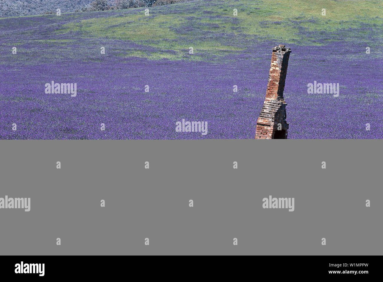 Pattersons curse hi-res stock photography and images - Alamy