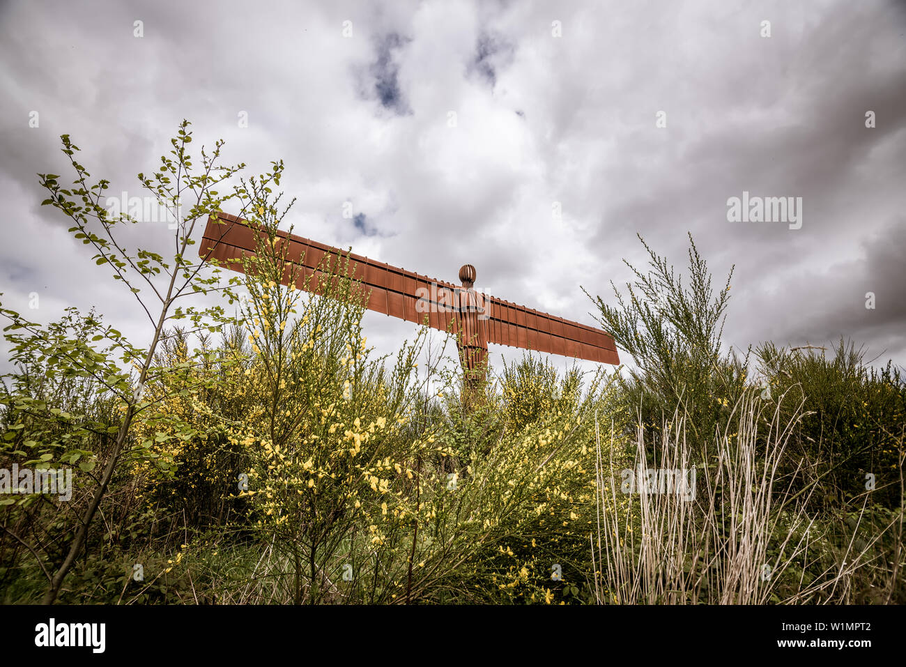 nature sky wood outdoors Stock Photo - Alamy
