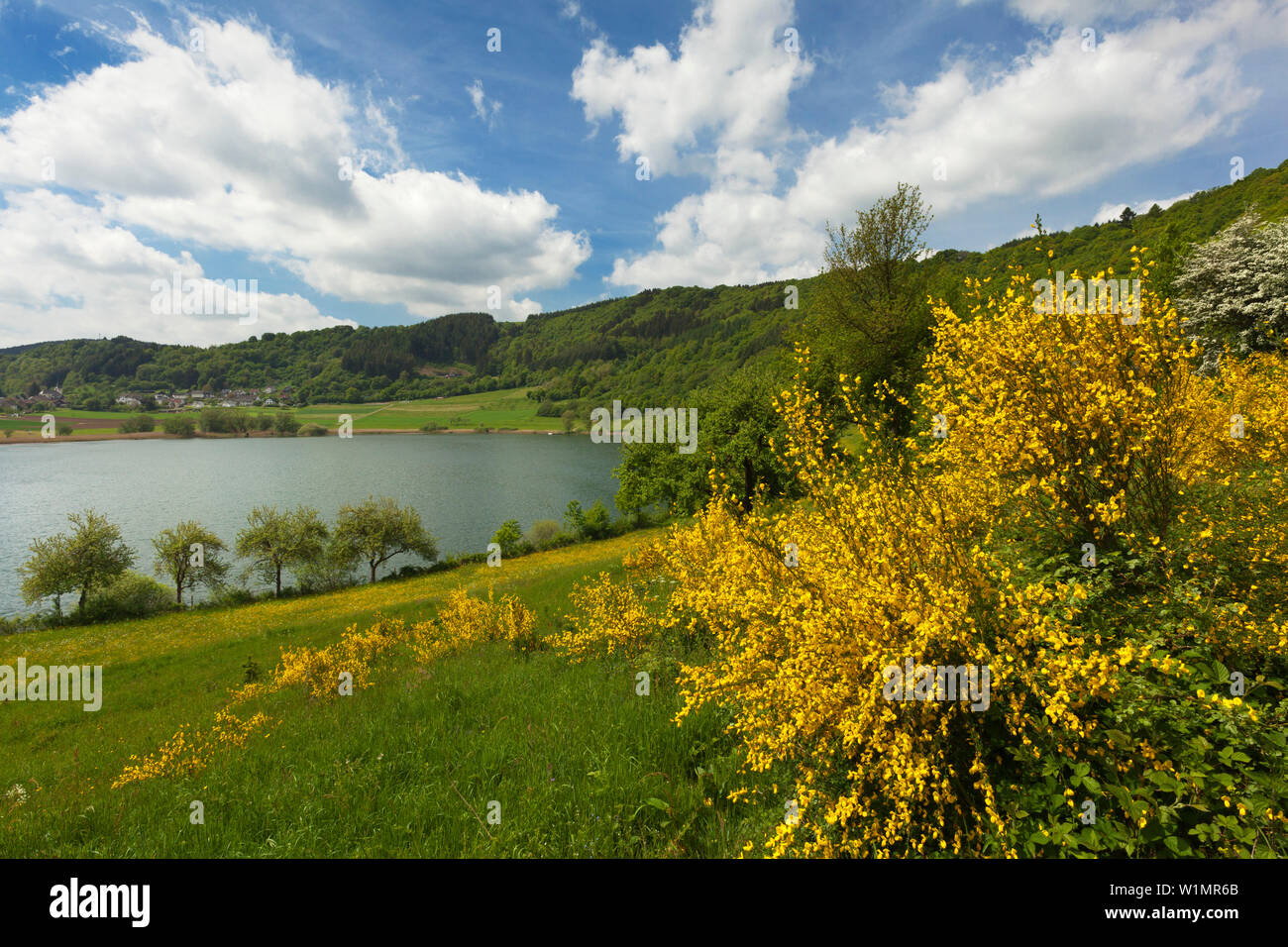Vulkaneifel maar hi-res stock photography and images - Alamy