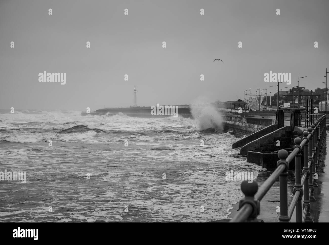 Watercraft vehicle Black and White Stock Photos & Images - Alamy