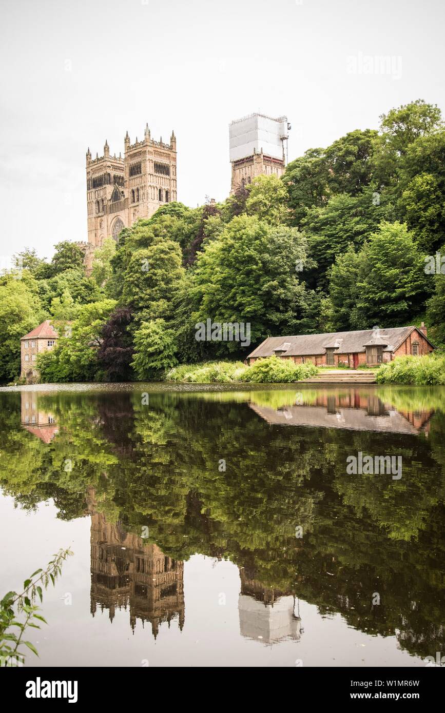tree water building river travel Stock Photo - Alamy