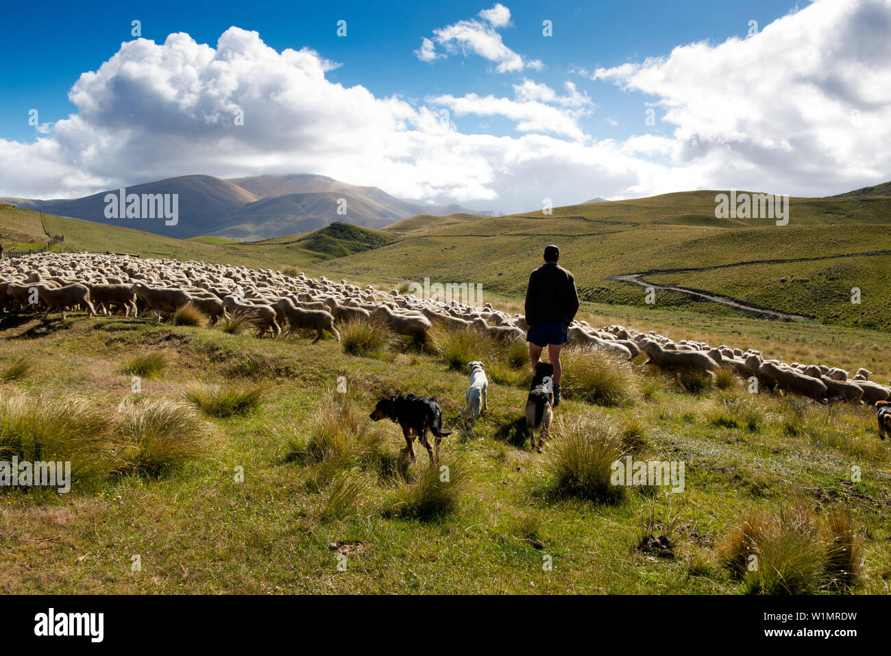 Hawkdun range hi-res stock photography and images - Alamy