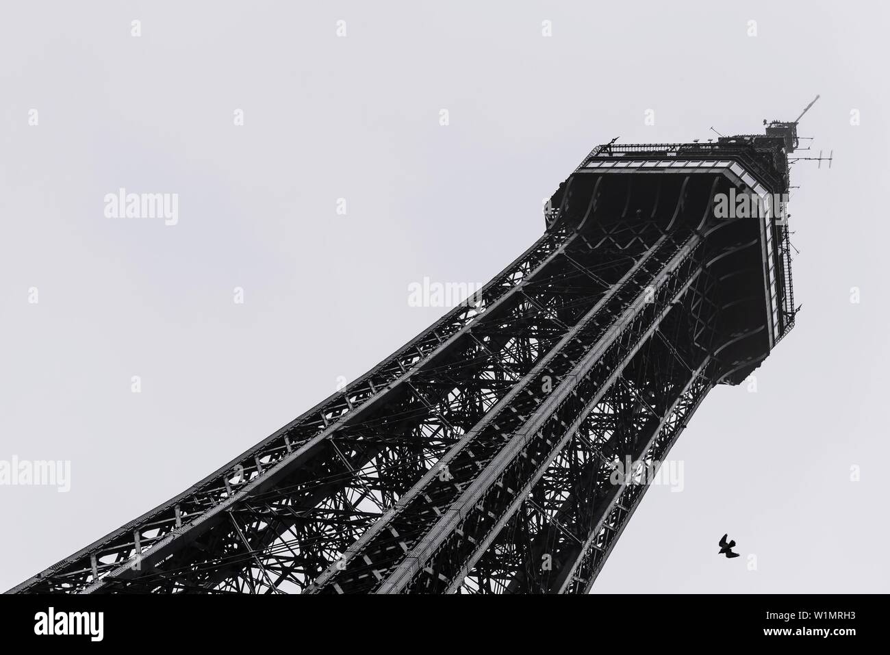 Steel expression hi-res stock photography and images - Alamy